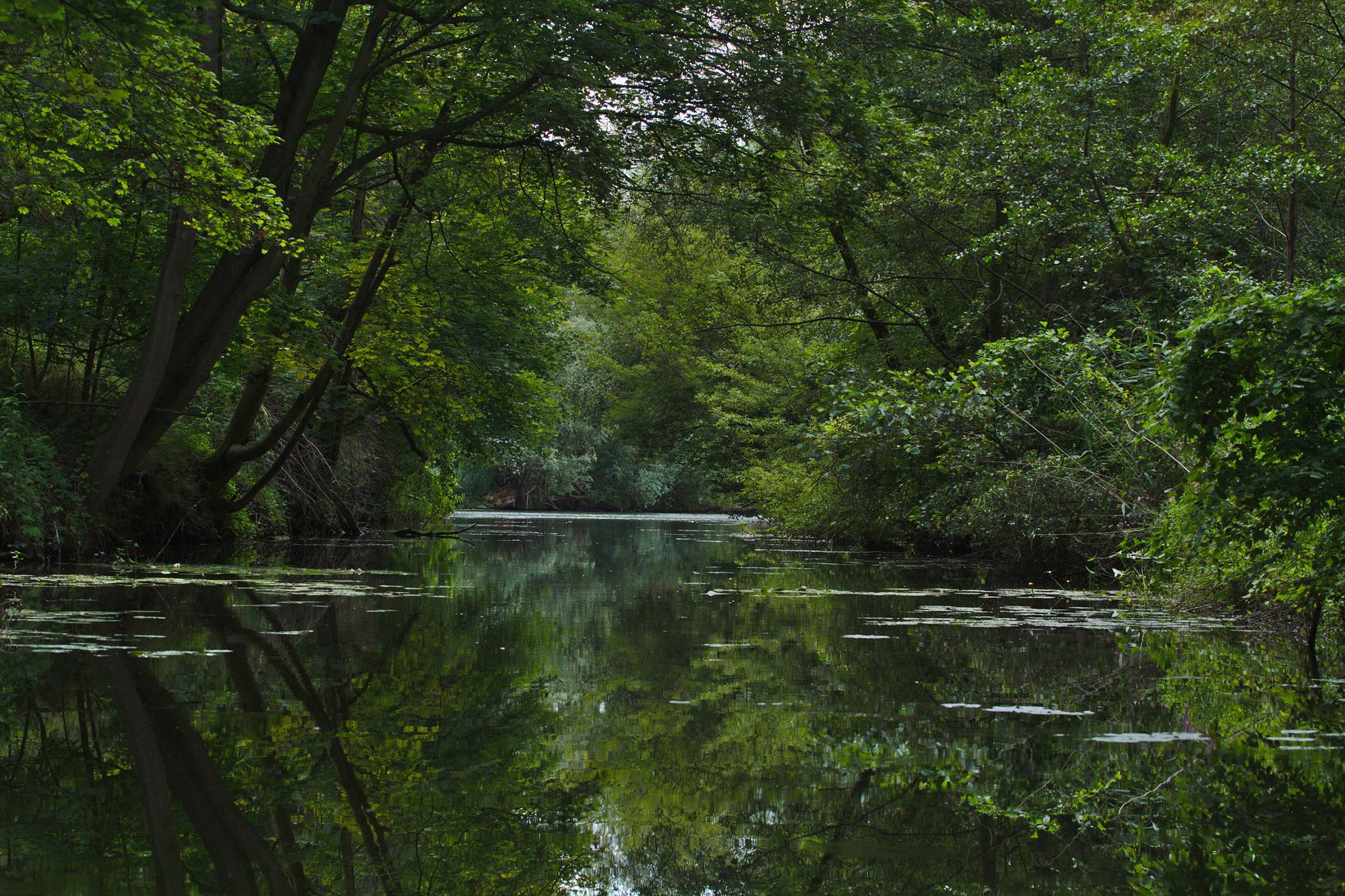 Auf der Unteren Havel von Ketzin bis Brandenburg/Havel | Kanu & Natur