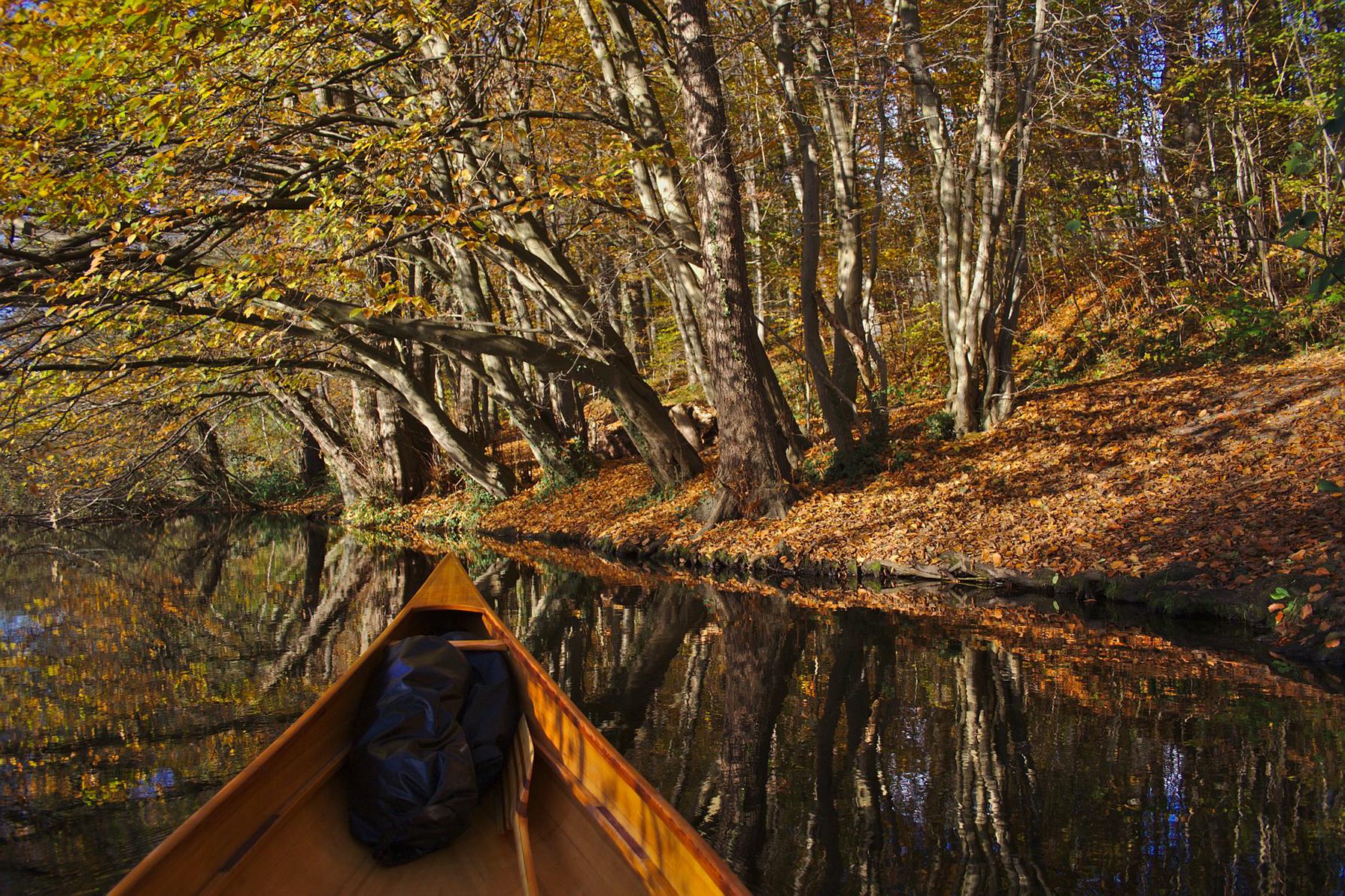 Kiel-Schwentine 11. November | Kanu & Natur